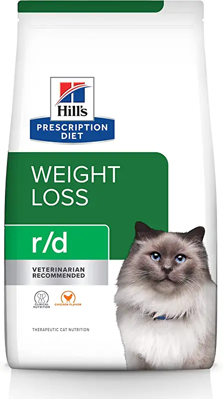 How to Help a Cat Lose Weight | Effective Weight Loss Plan