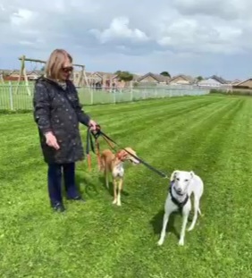 Dusk's Success Story | BARC