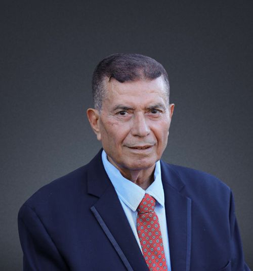 Amleh Group - Executive Management