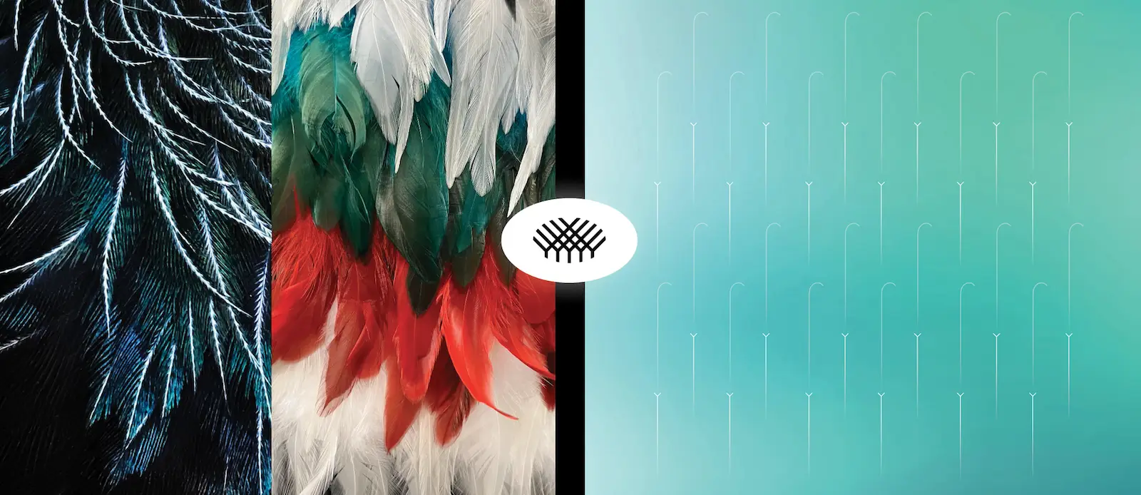 Human Rights NZ website