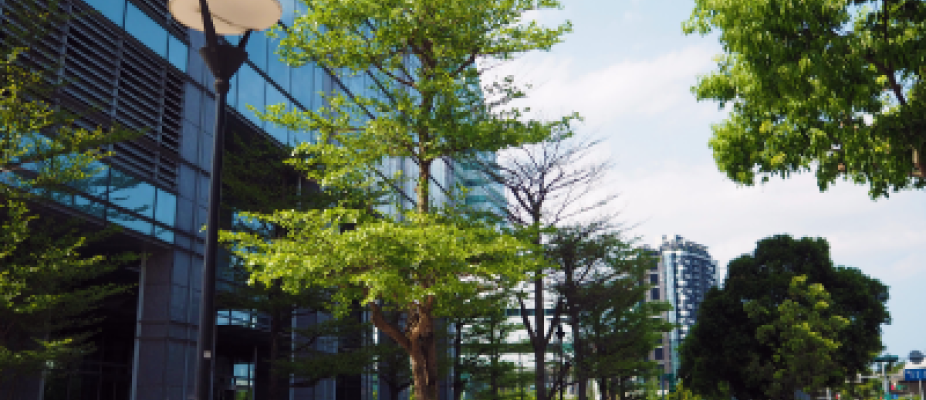 Enrich Environmental Website