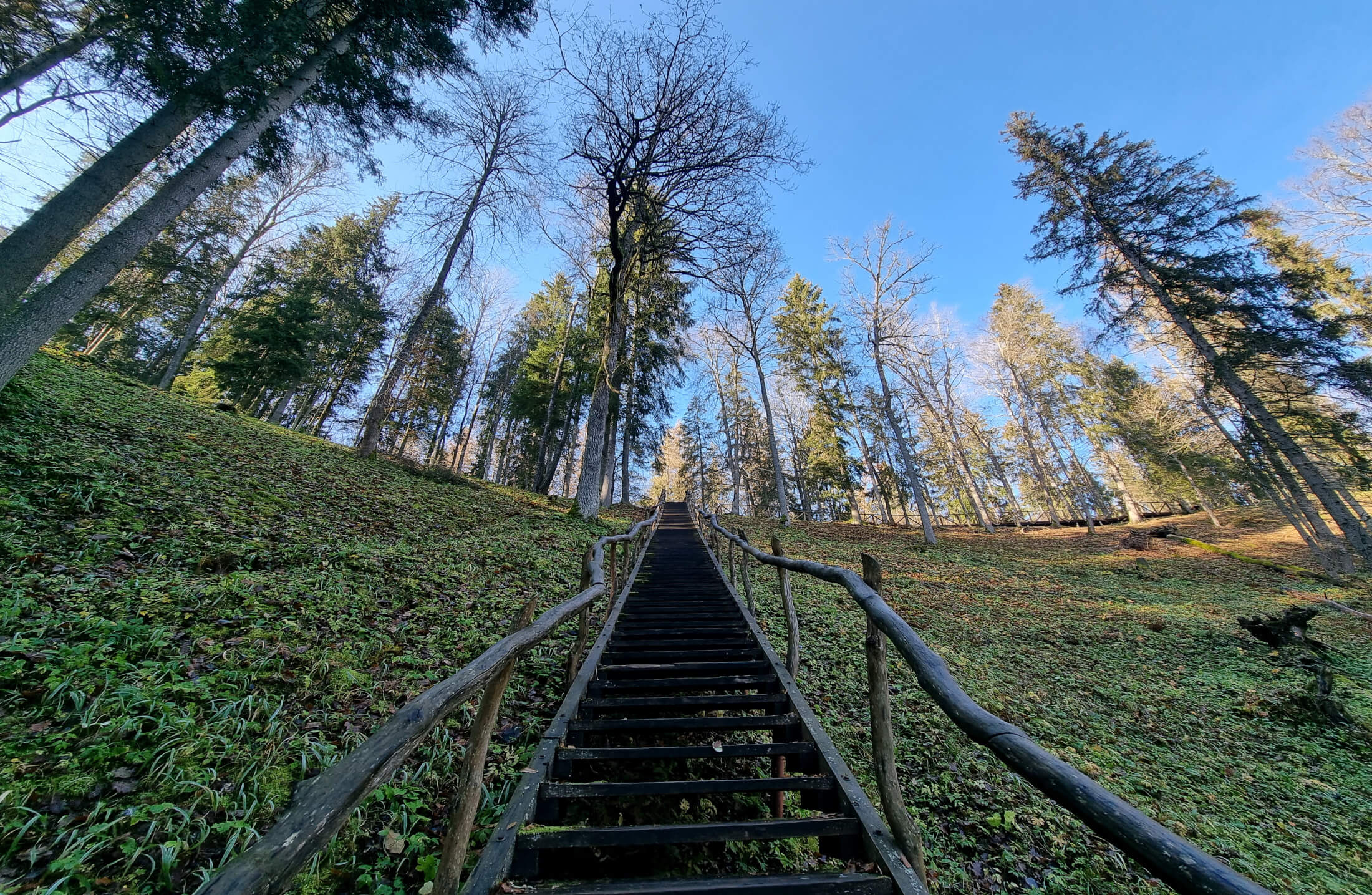 Velnio duobė arba helovyniškas reportažas | Gargždapilis