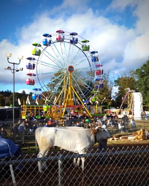 Events - Riverton, CT