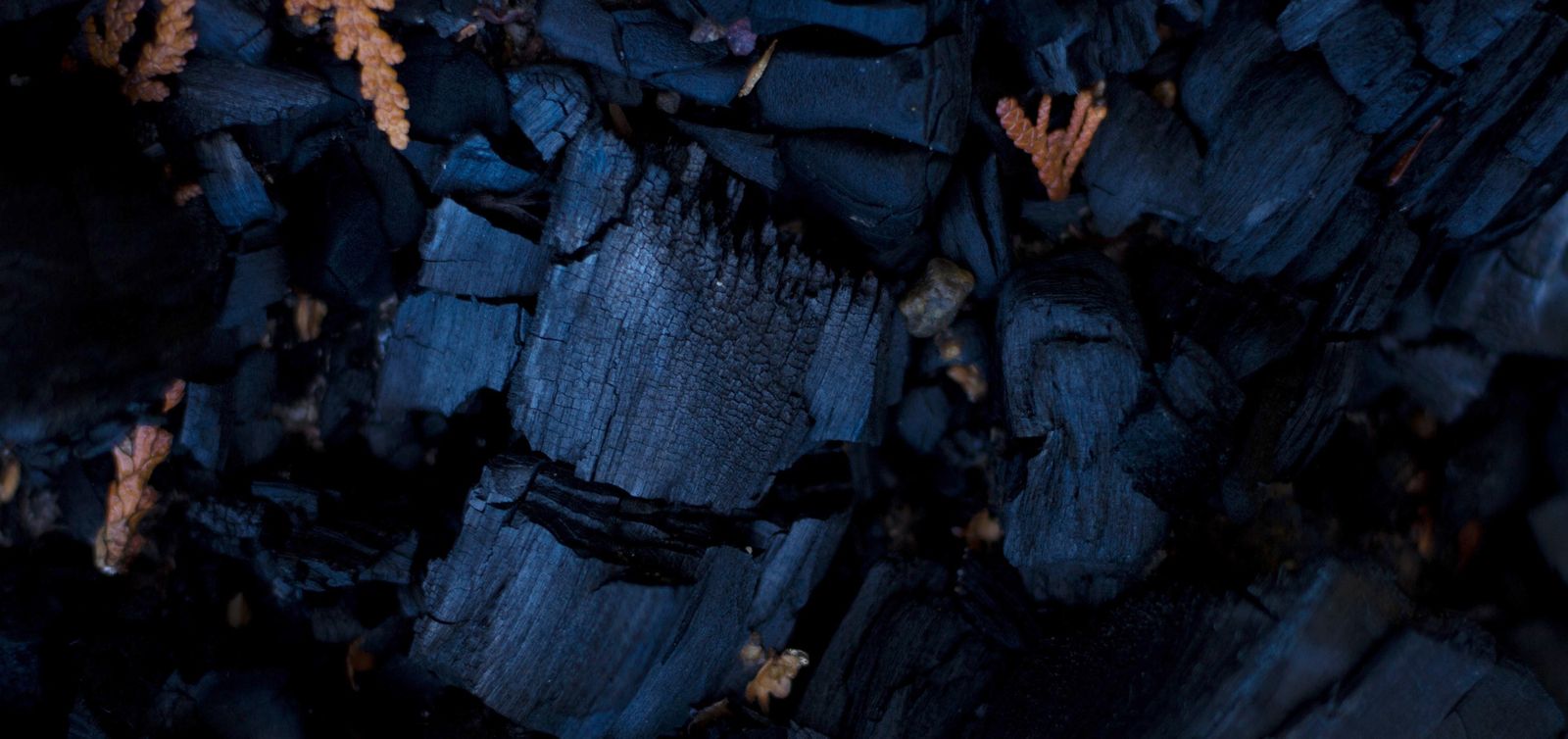 How biochar emerged as an unexpected champion in the fight against the ...