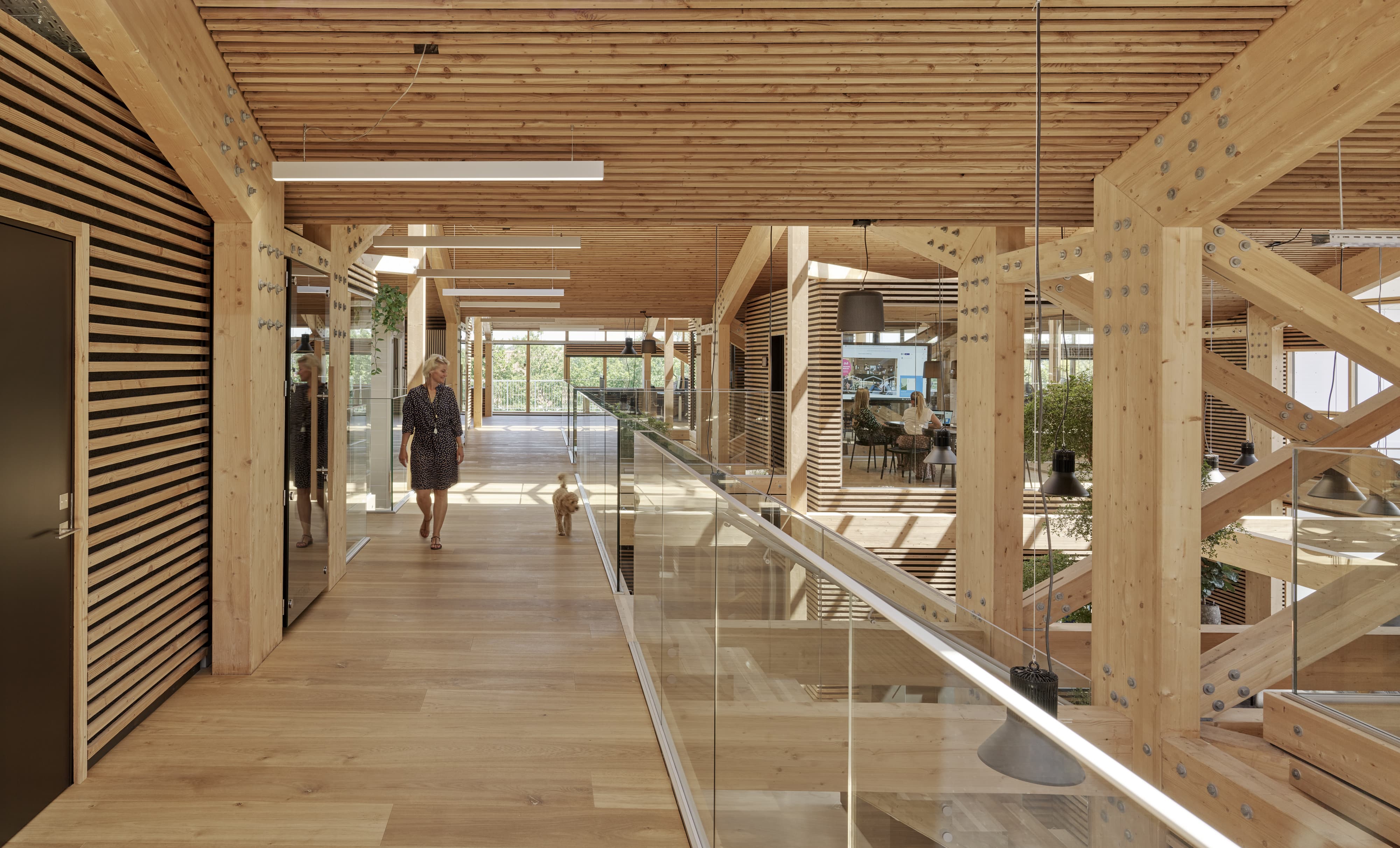 Schmidt Hammer Lassen: Sustainable aesthetics