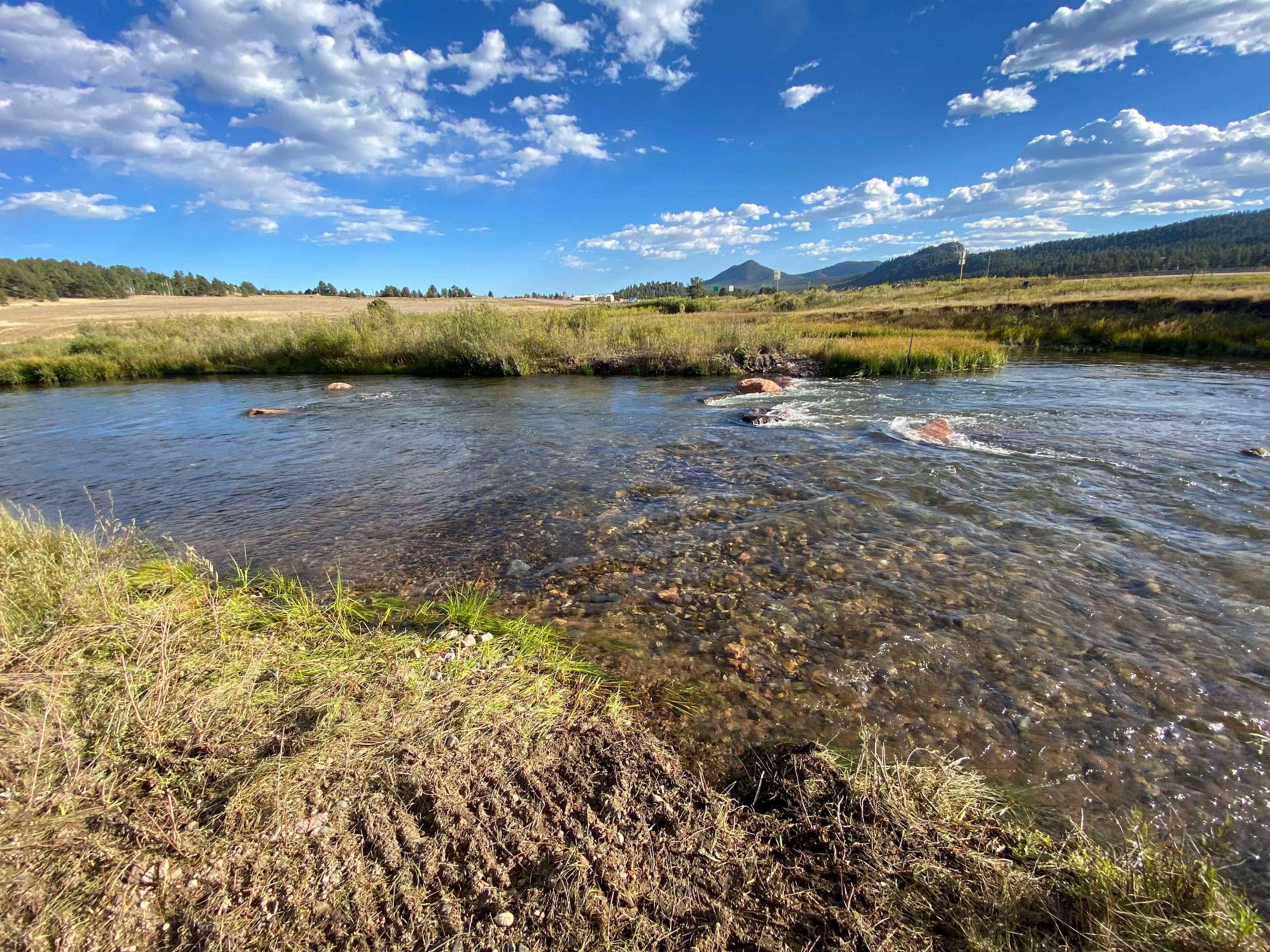 River Construction and Restoration | Freestone Aquatics