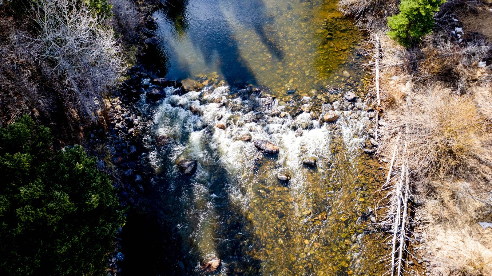 River Construction and Restoration | Freestone Aquatics