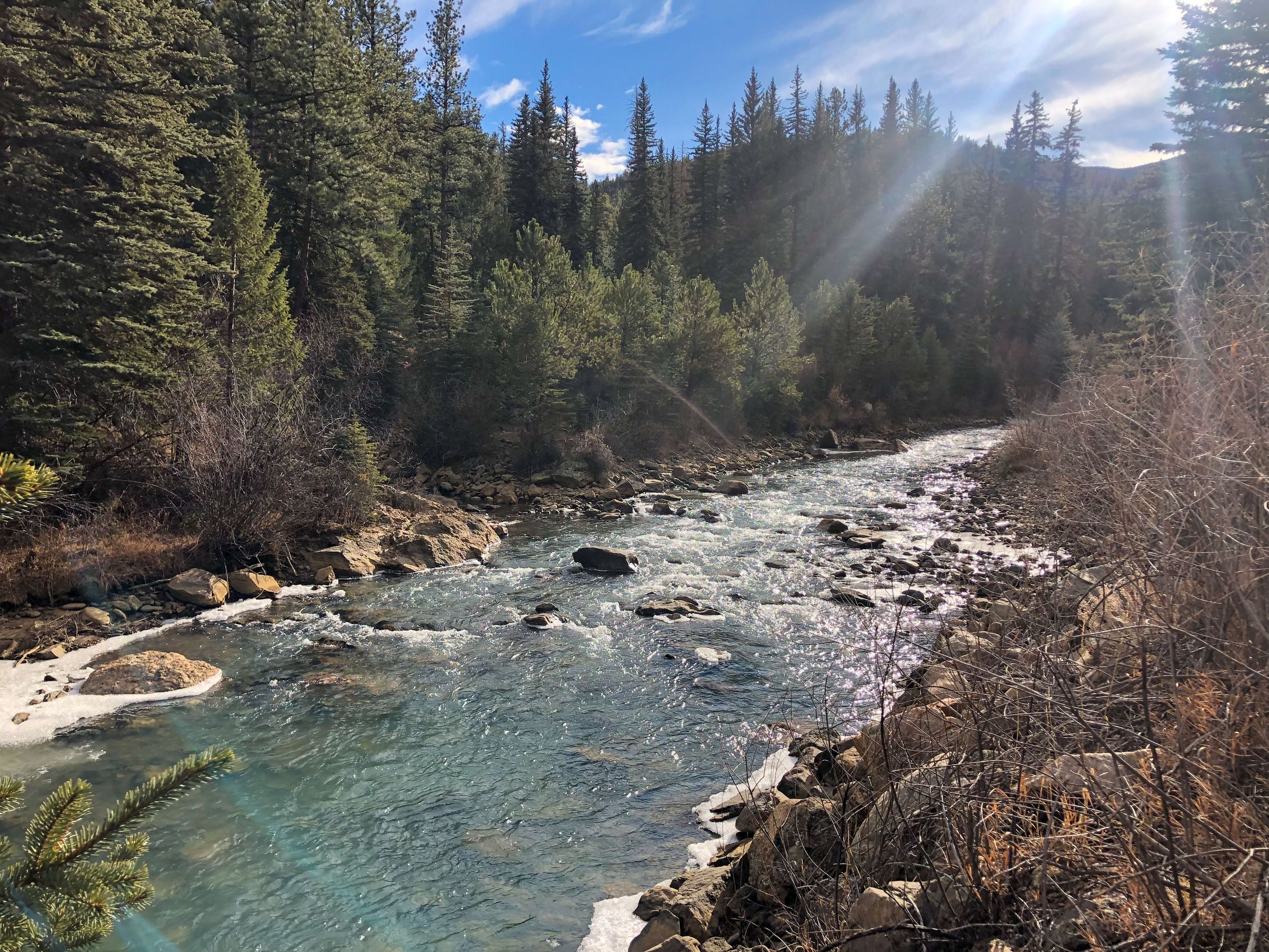 Fraser River | Projects - Freestone Aquatics