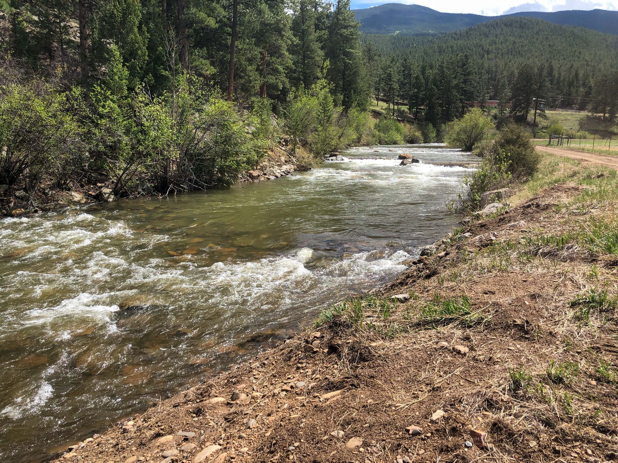 River Construction and Restoration | Freestone Aquatics