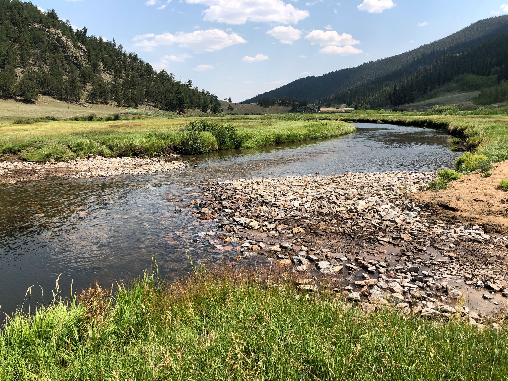 River Construction and Restoration | Freestone Aquatics