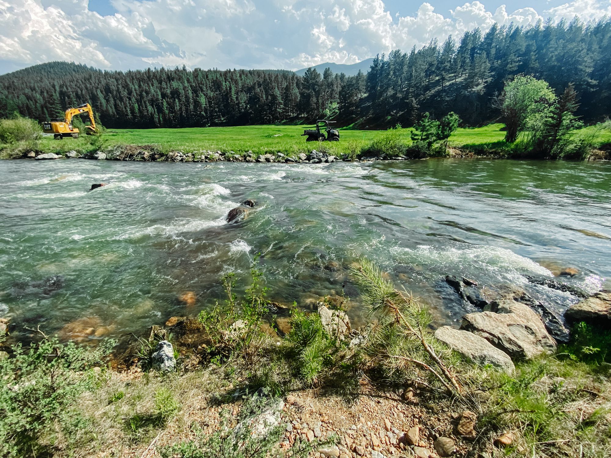 Contact | Freestone Aquatics