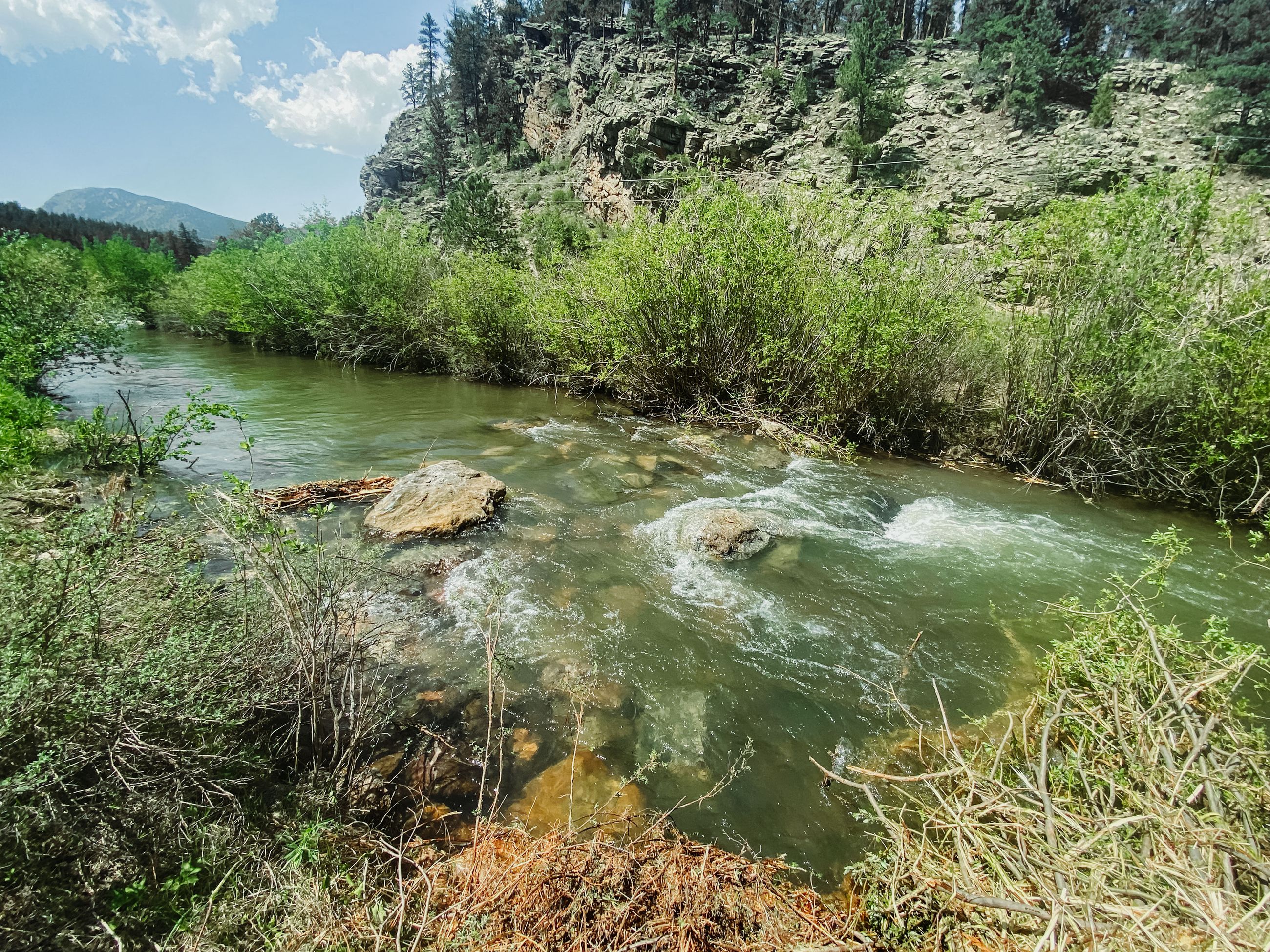 Fisheries Management | Services - Freestone Aquatics