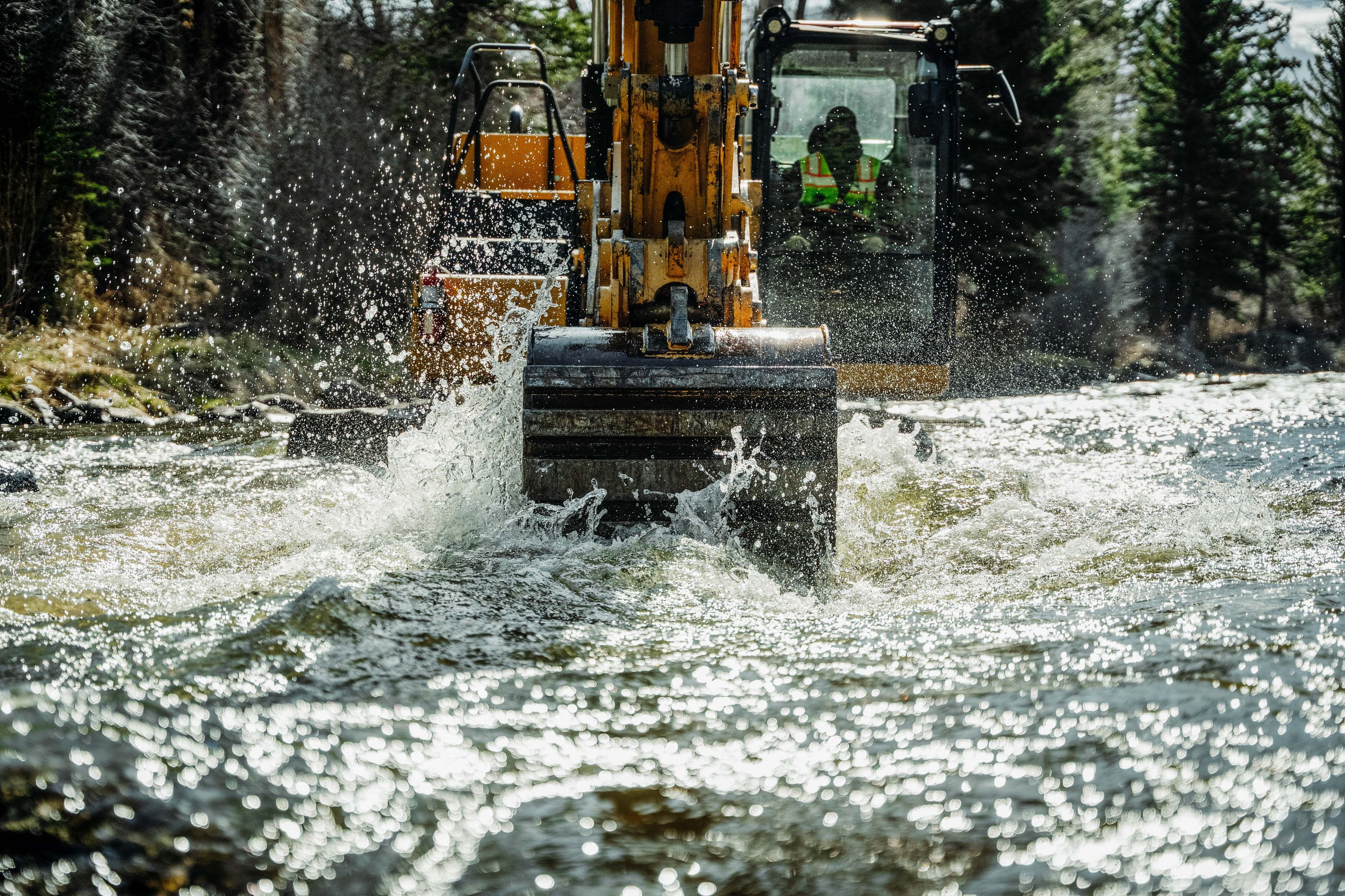 About us | Freestone Aquatics