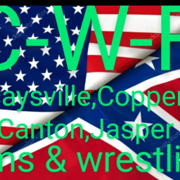 CwF drawings - Webflow