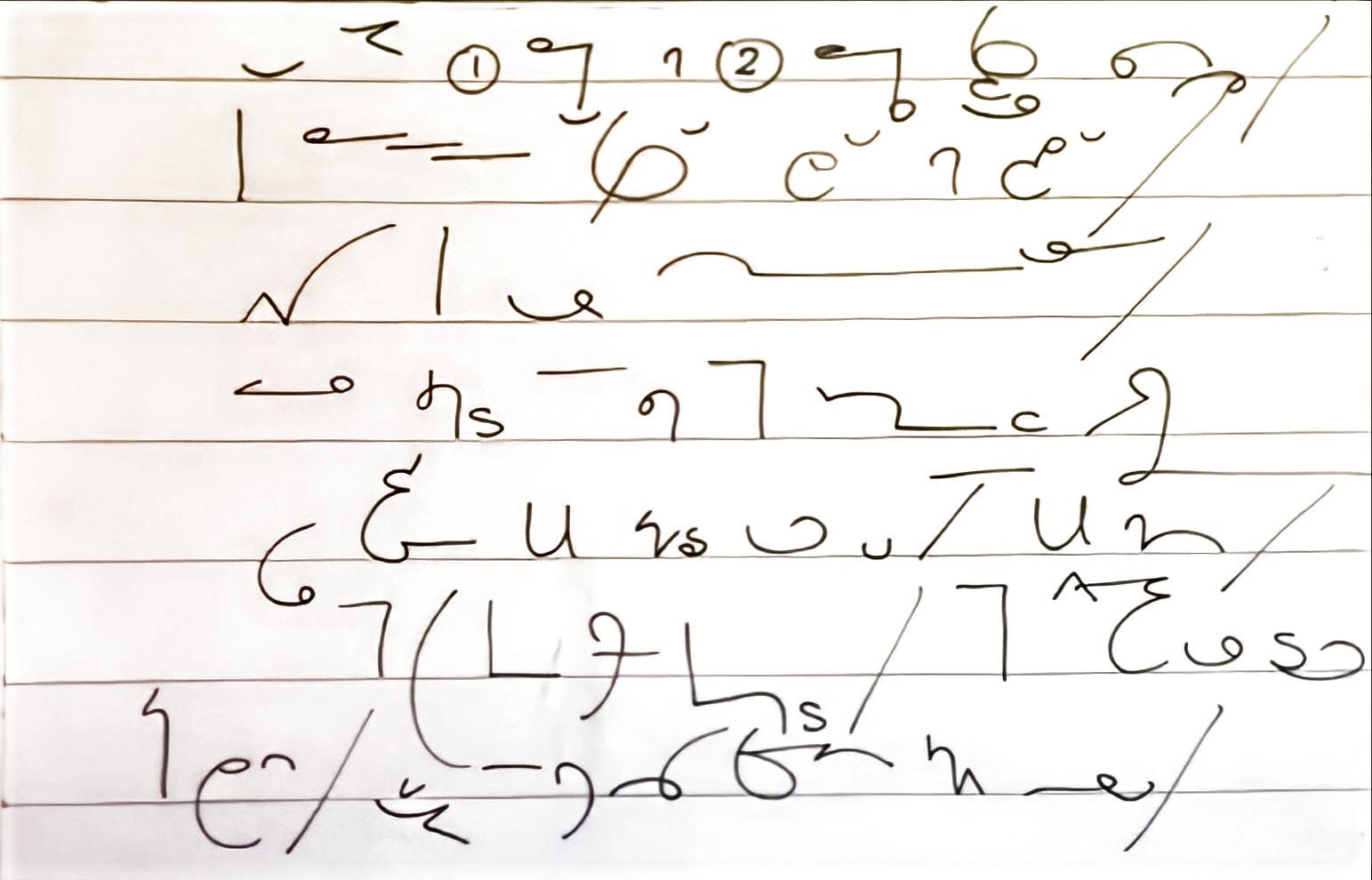 Beginner's Revision- L16-L20