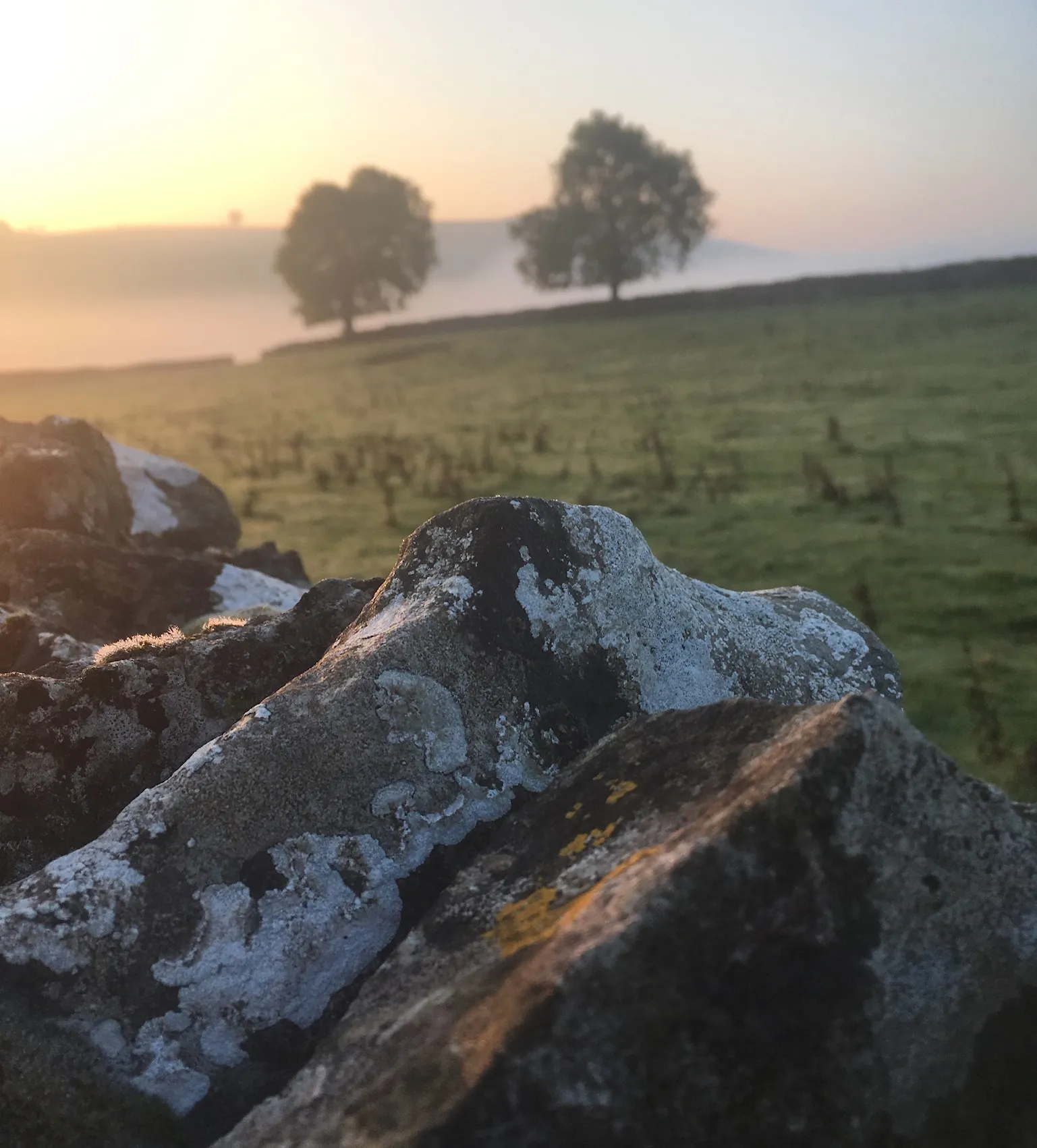 The Stone Estate - Cottage collection by Alstonefield Manor