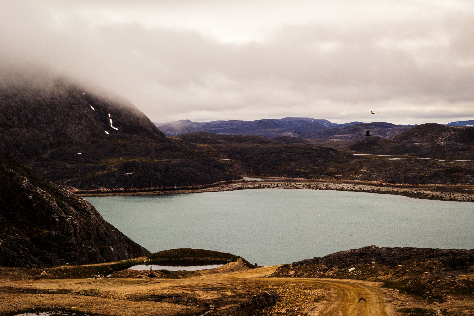 Kinngait, Resolute Bay, & Sanirajak Nukkiksautiit Projects | Growler Energy