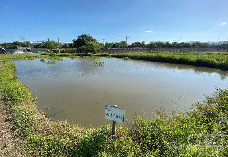 Long Valley Nature Park Habitat Management Service