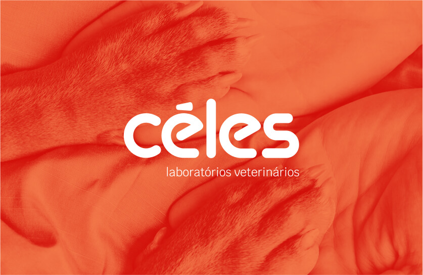 Céles - Resultados