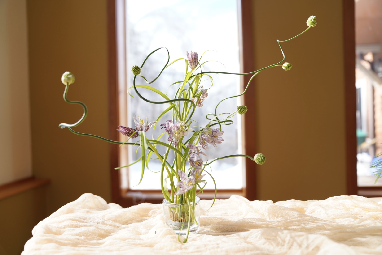 Dancing Stems Design