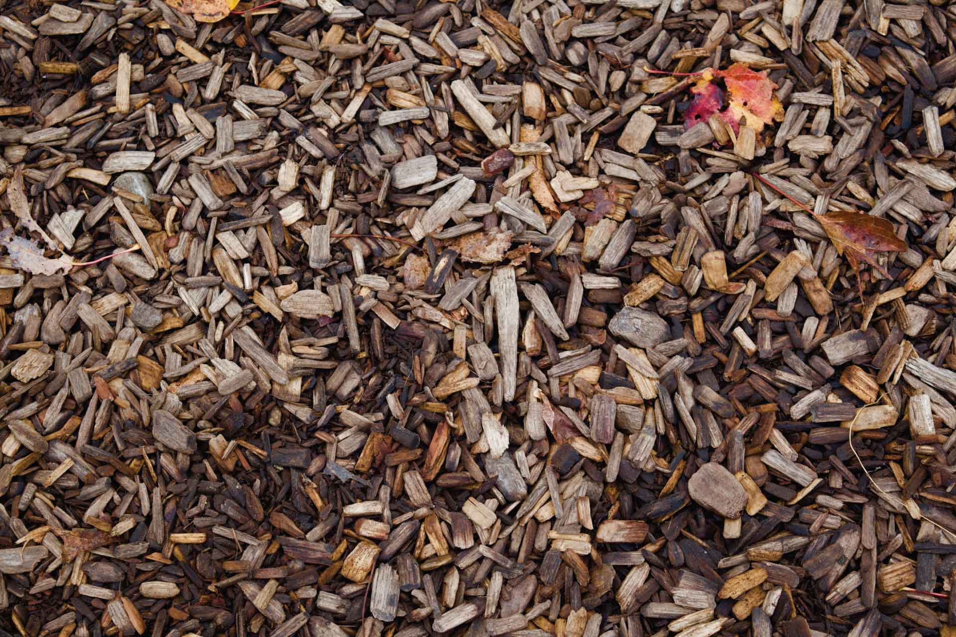 Growing Beds Recycling Services Ltd