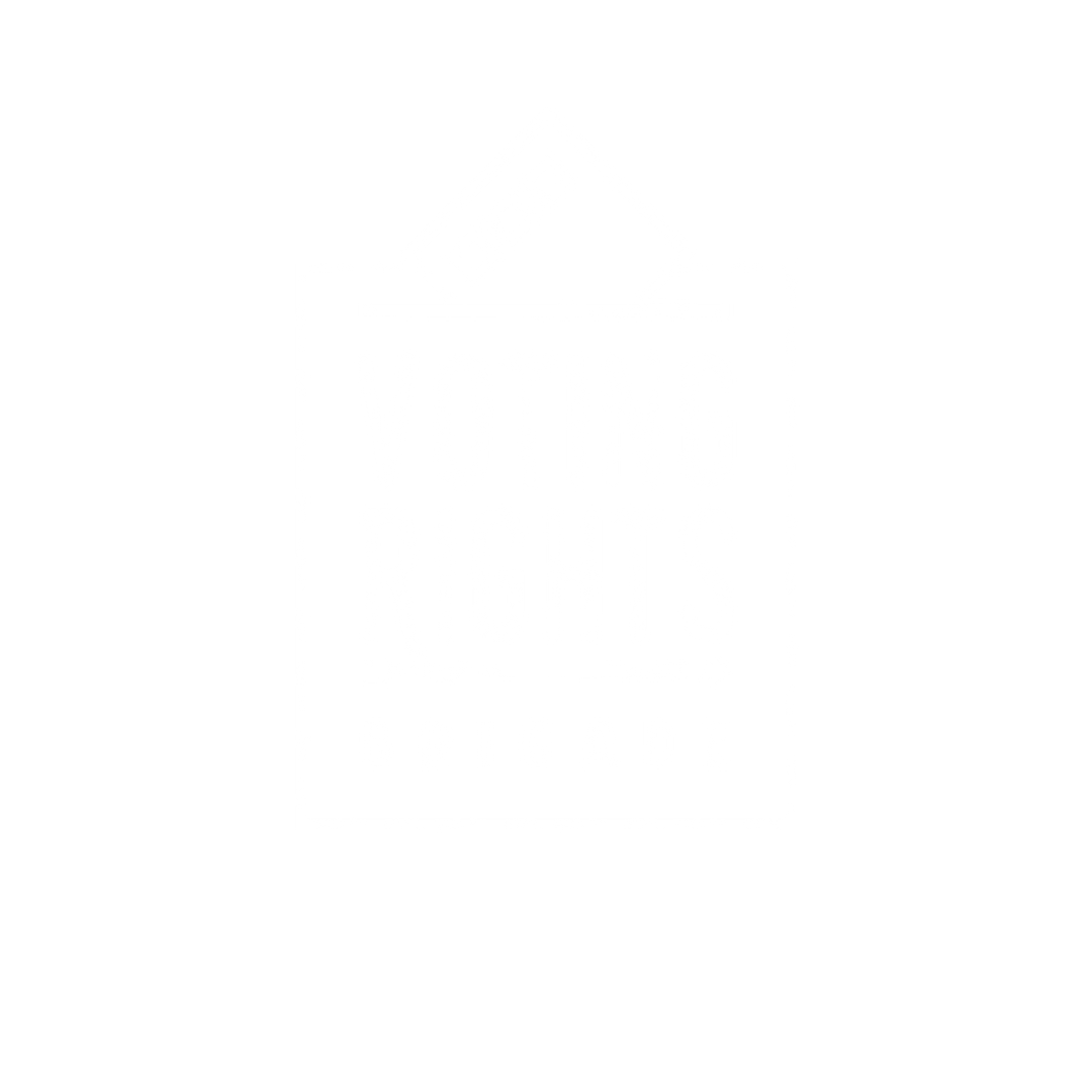 Digital Democracy Project