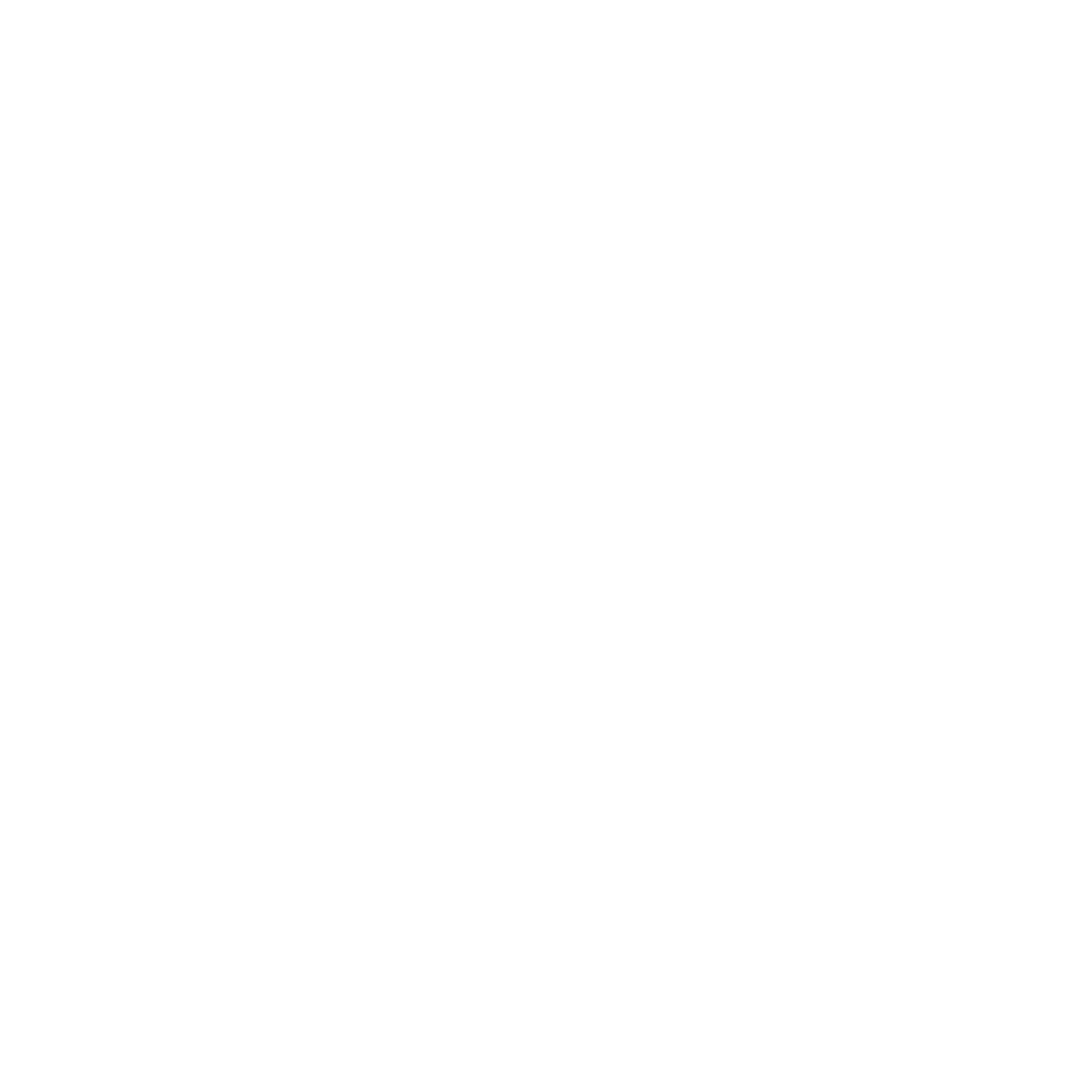 Digital Democracy Project