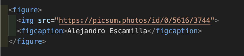 GitHub - webkopp/Projekt-Picsum-Fetch