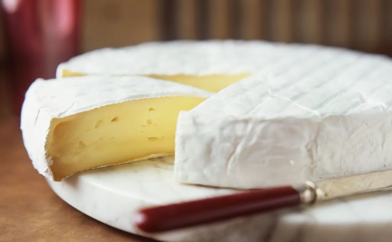 The 7 Types of Cheese