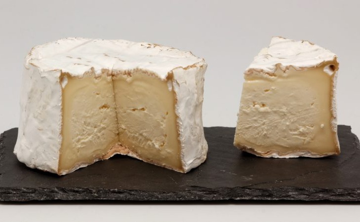 The 7 Types of Cheese