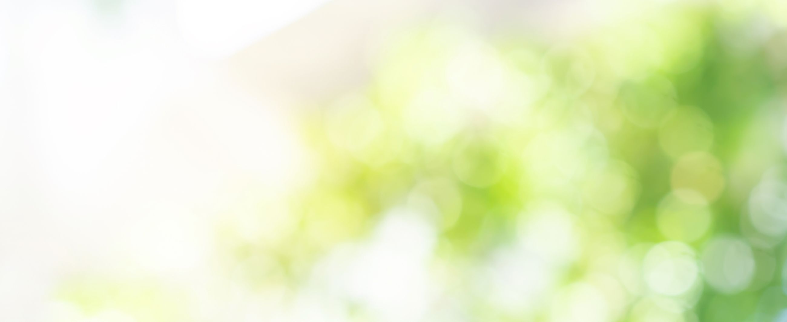 Paramed Health Collective | Massage Therapy and Acupuncture