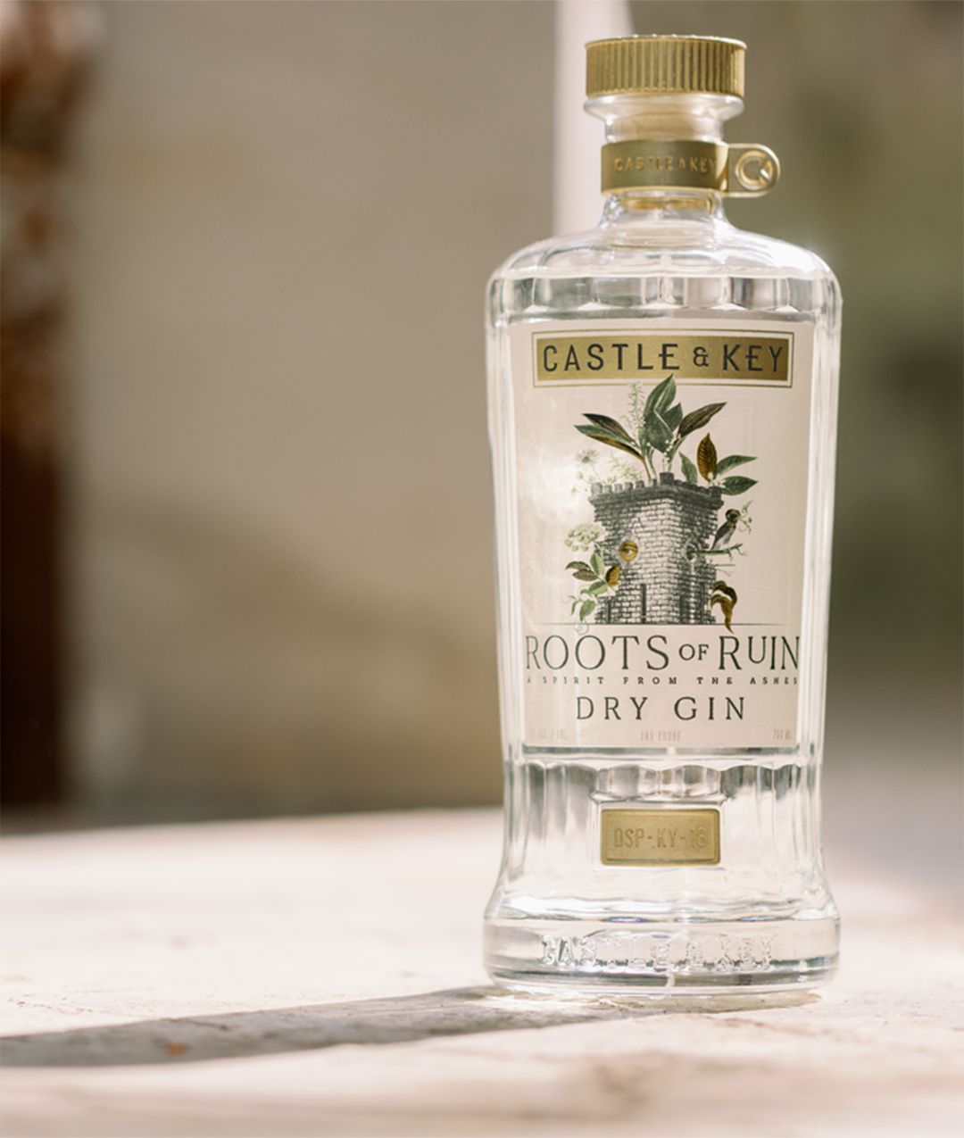 Castle & Key - A Brief History