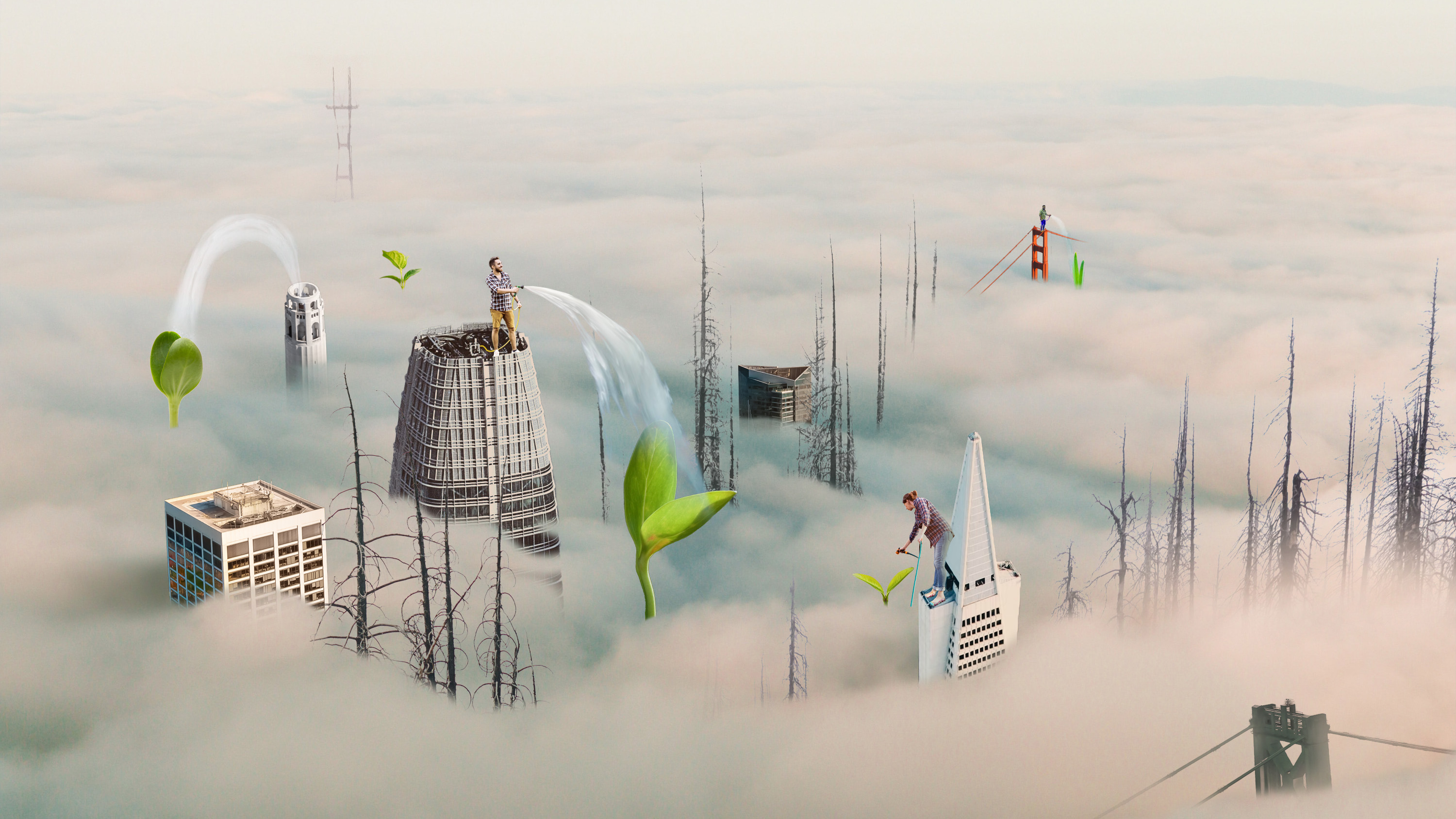 Clark - Webflow Ecommerce Website Template