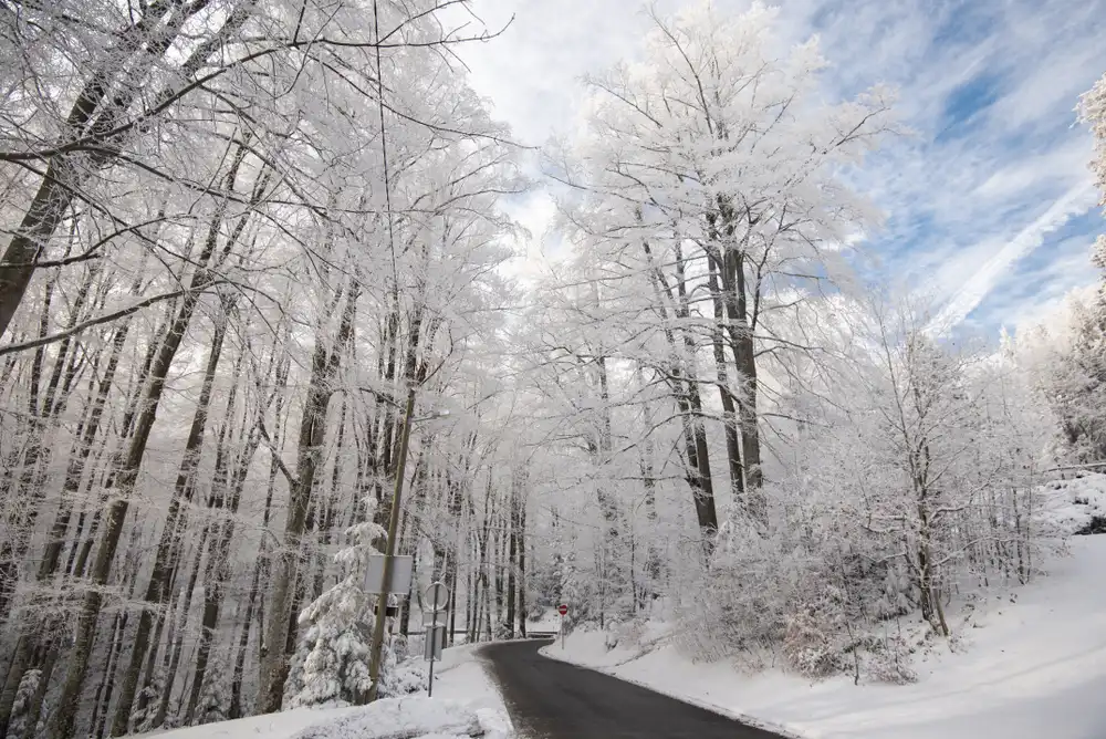 Where to Go Skiing in Croatia: The Best and Biggest Ski Resorts