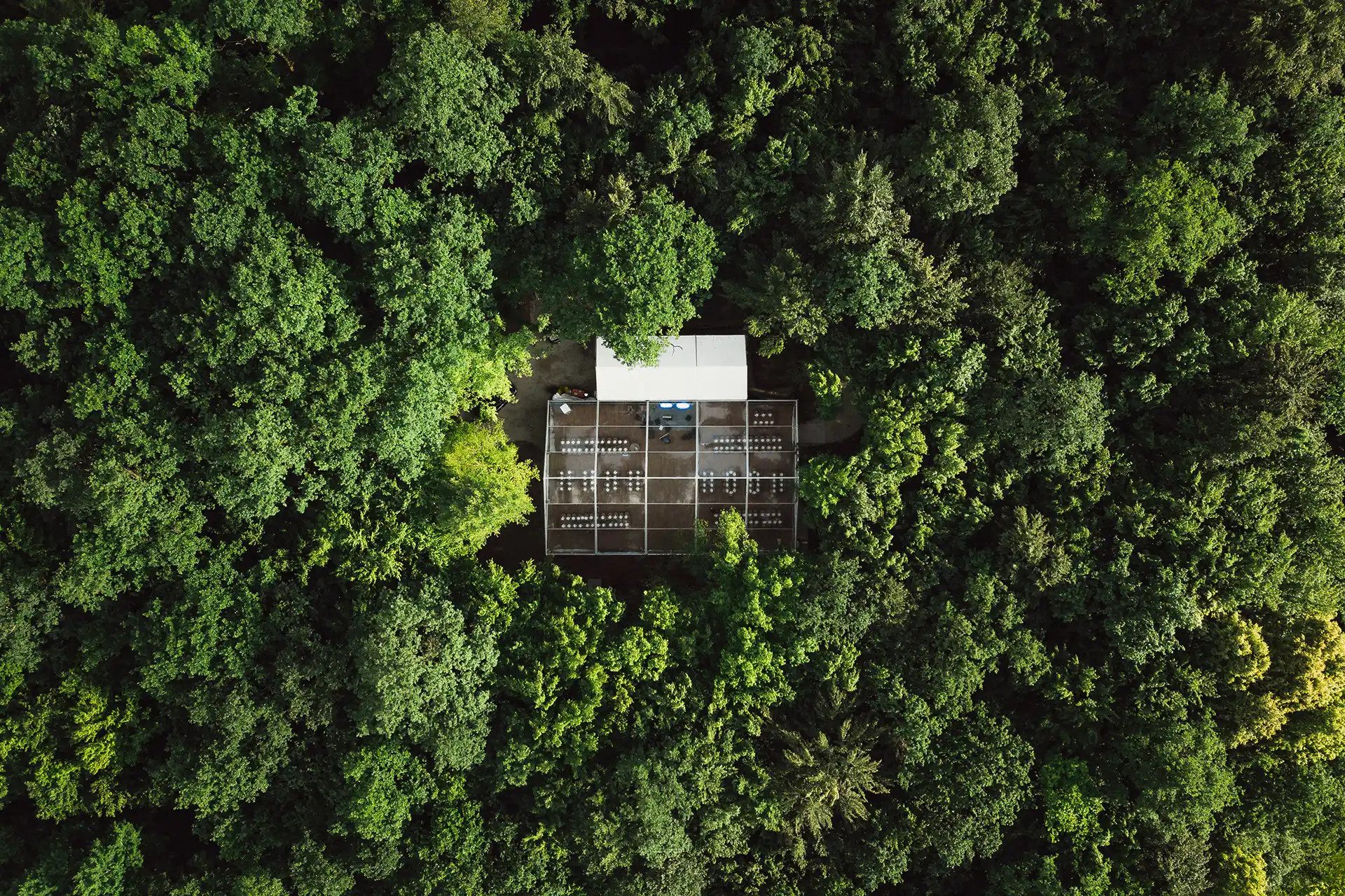 Tie The Knot With Your True Love at Scenic Wedding Resort Corberon