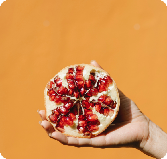 Amilis Fertility, Egg Freezing Made Simple