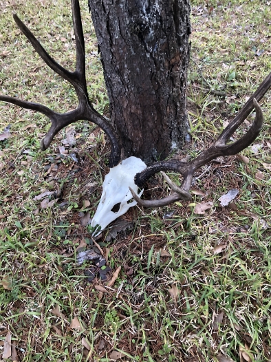Meat Processing in Spring, TX • Earl's Custom Meats and Processing