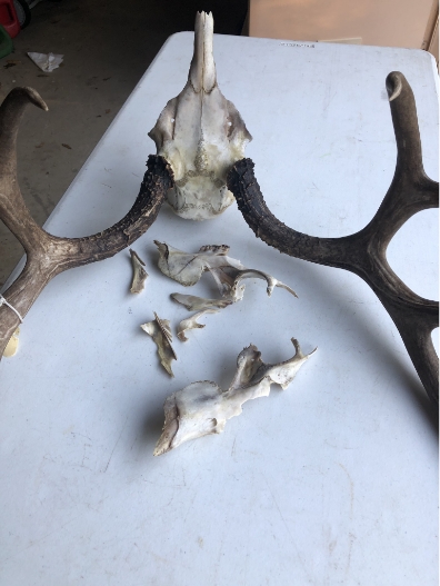 Meat Processing in Spring, TX • Earl's Custom Meats and Processing