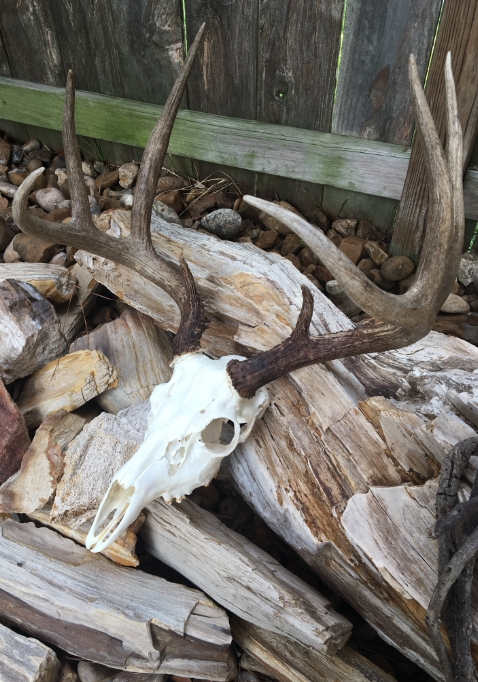 Meat Processing in Spring, TX • Earl's Custom Meats and Processing