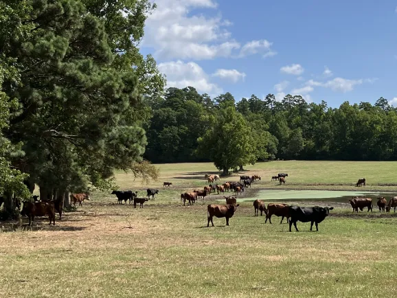 Meat Processing in Spring, TX • Earl's Custom Meats and Processing