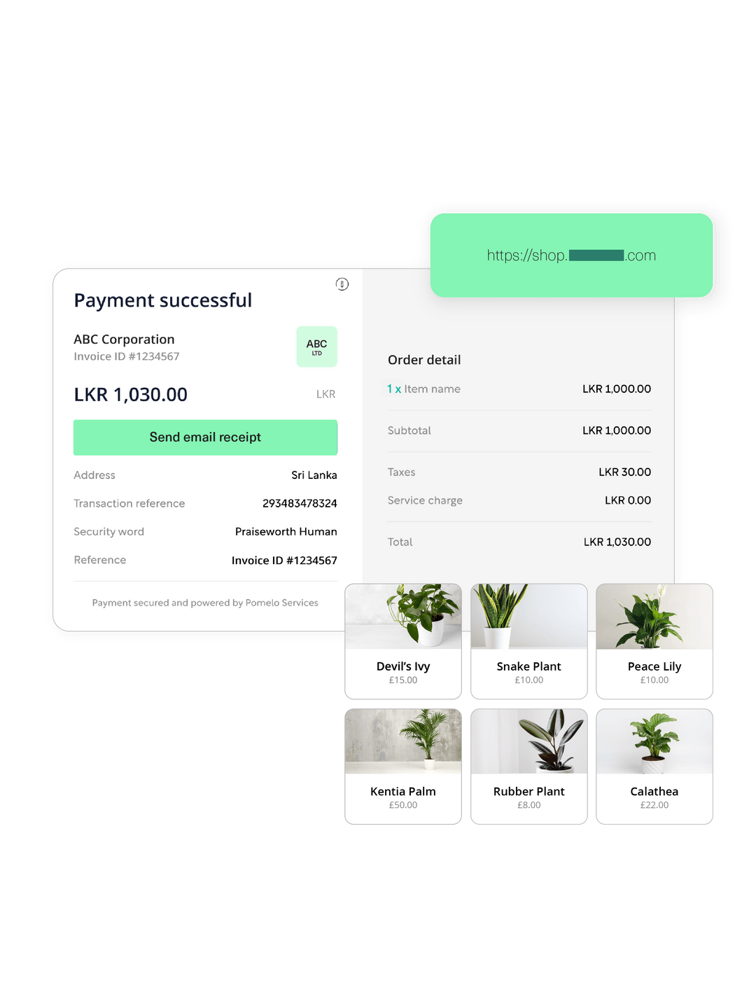 Ready-to-Use Payment Rails | Digital Acceptance | Pomelo