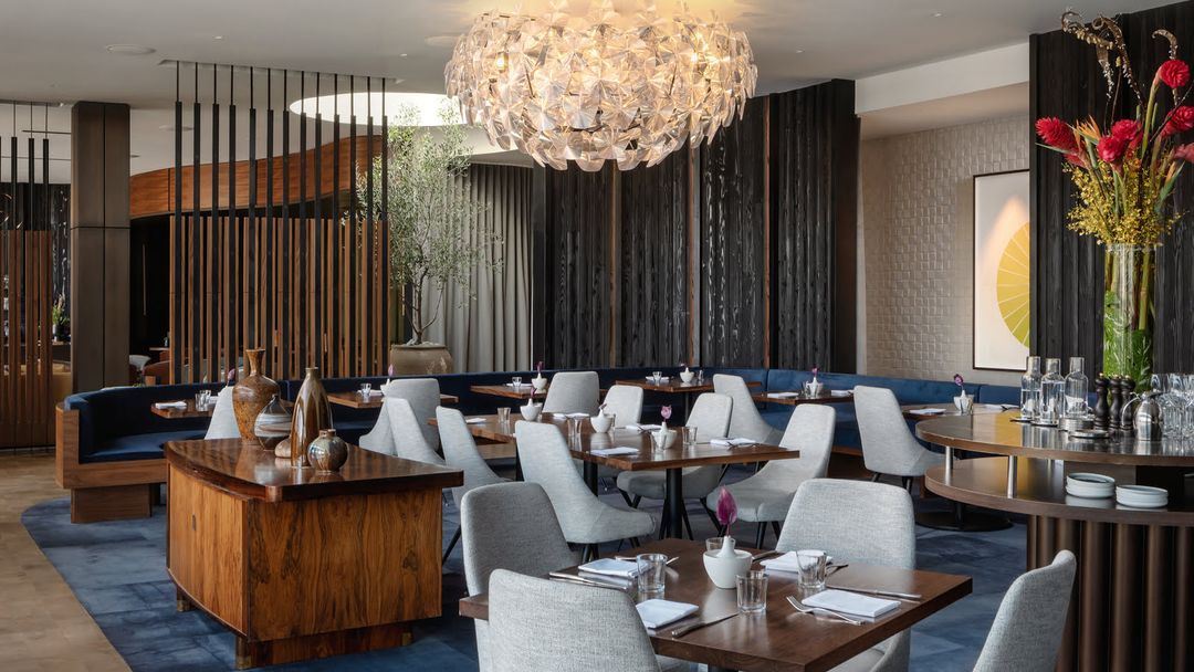 Nido - Austin Rooftop Dining -The Loren Hotel