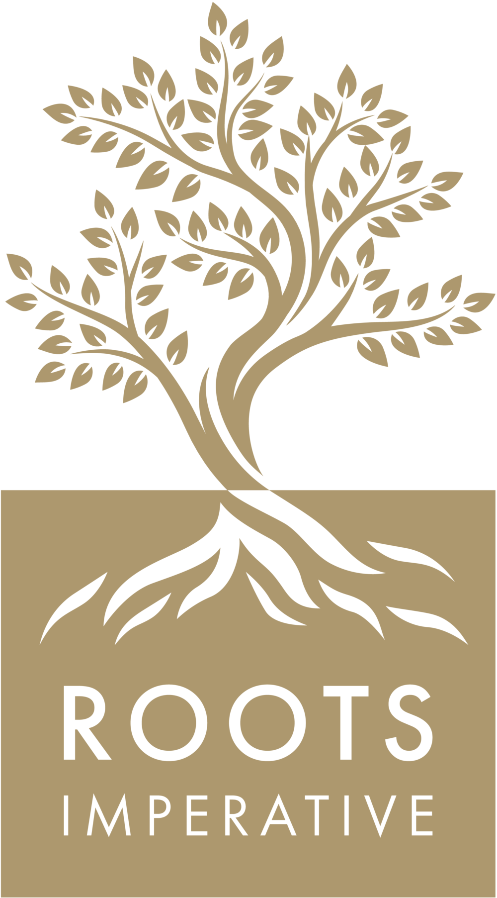 The Loren Roots Initiative An Actionable Response To Climate Change