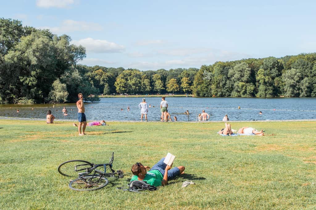 Amsterdam Forest - Secret Spots in Amsterdam