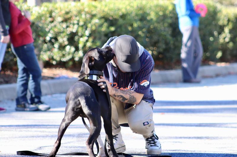 PepeDogs: J&K Canine Academy – Unleash the love for your canine companion.