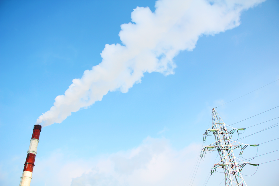 Energy Geeks - Our Services