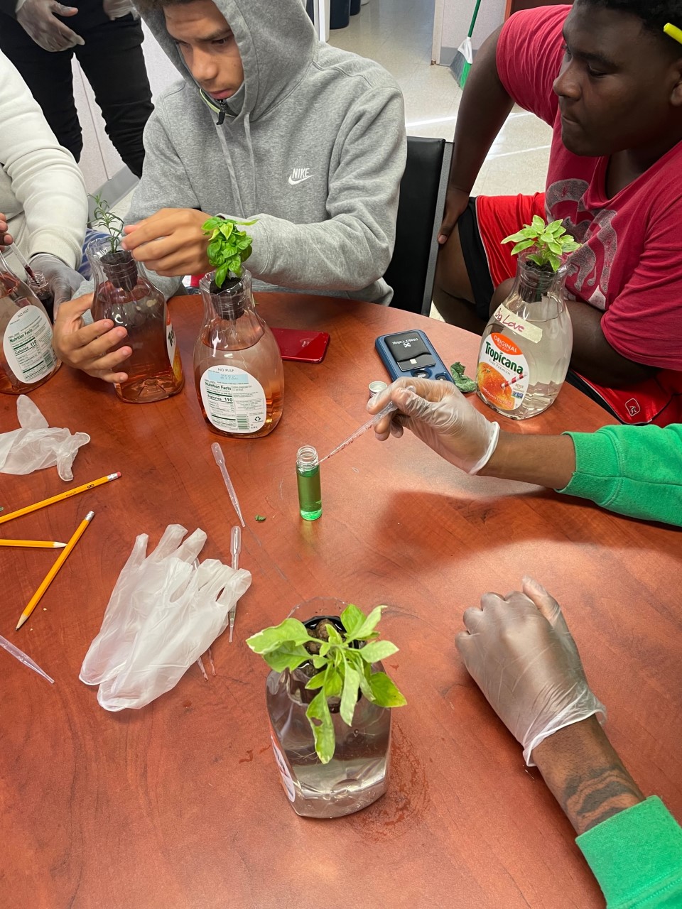 SpatialGrow - Classroom