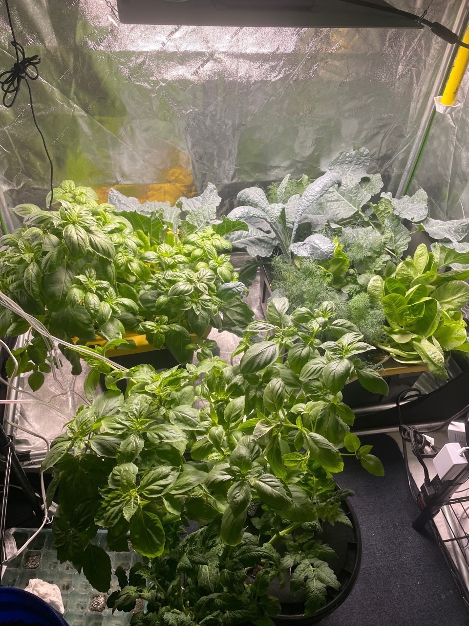 SpatialGrow - Classroom