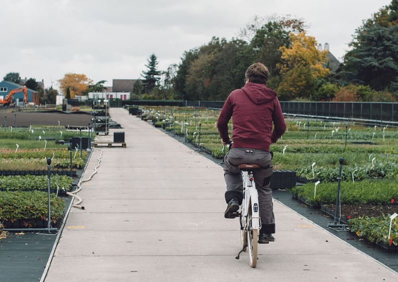 Over ons | Koetsier vaste planten