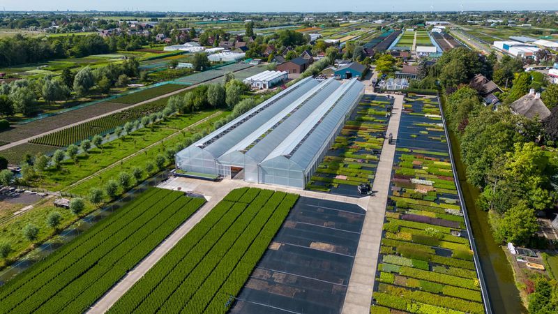 Over ons | Koetsier vaste planten